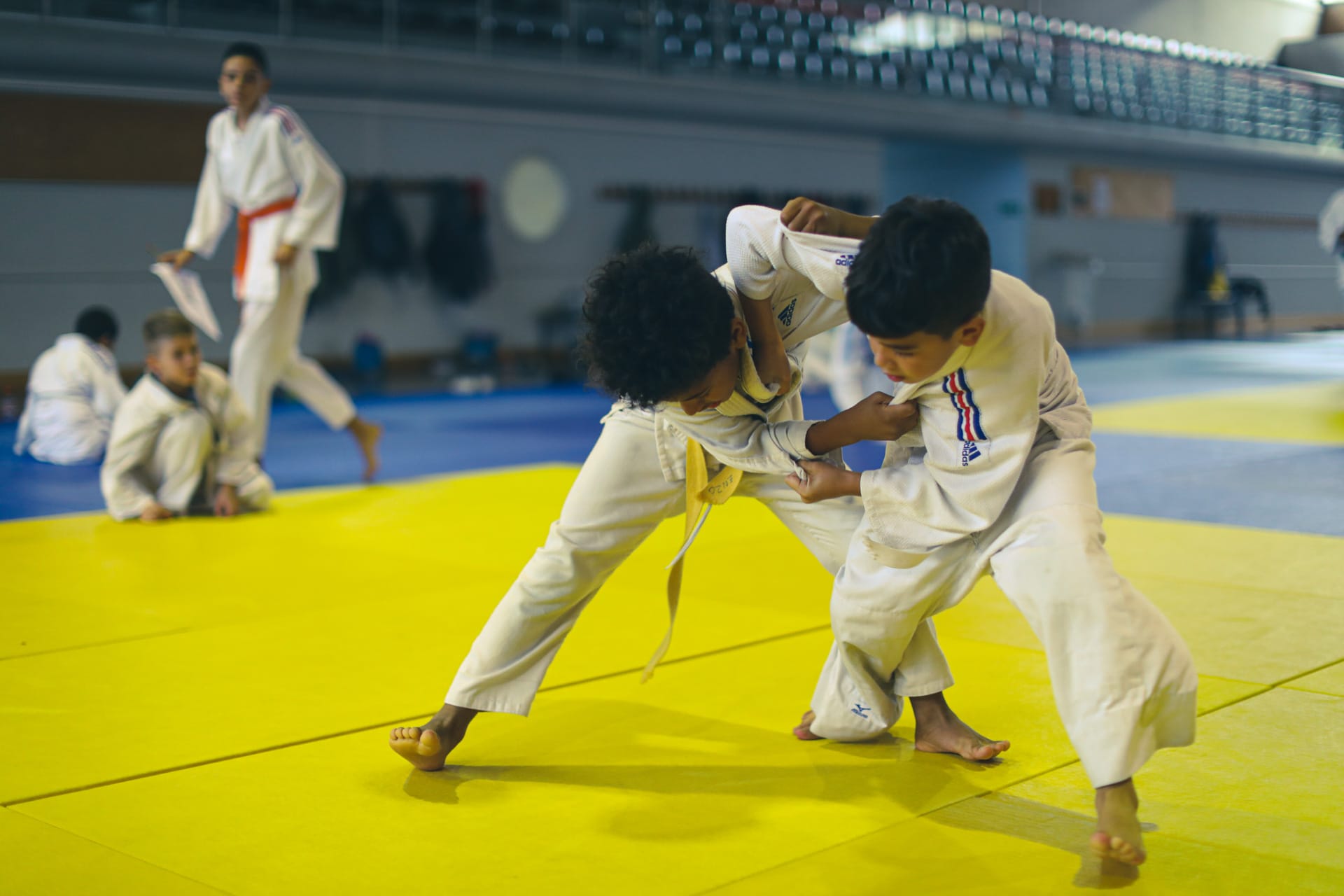 Inscription – Team Judo Jujitsu Marseille - Marseille - Team Judo Jujitsu