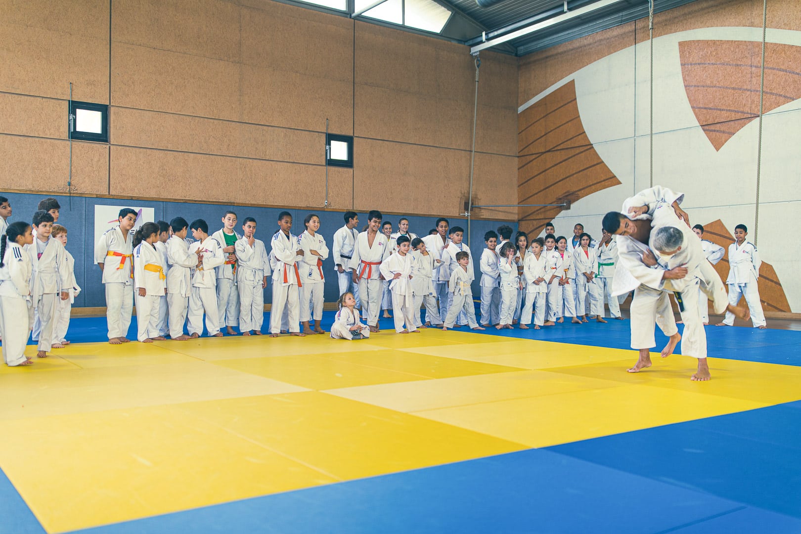 Reprise des cours au Team Judo Jujitsu - Team Judo Jujitsu