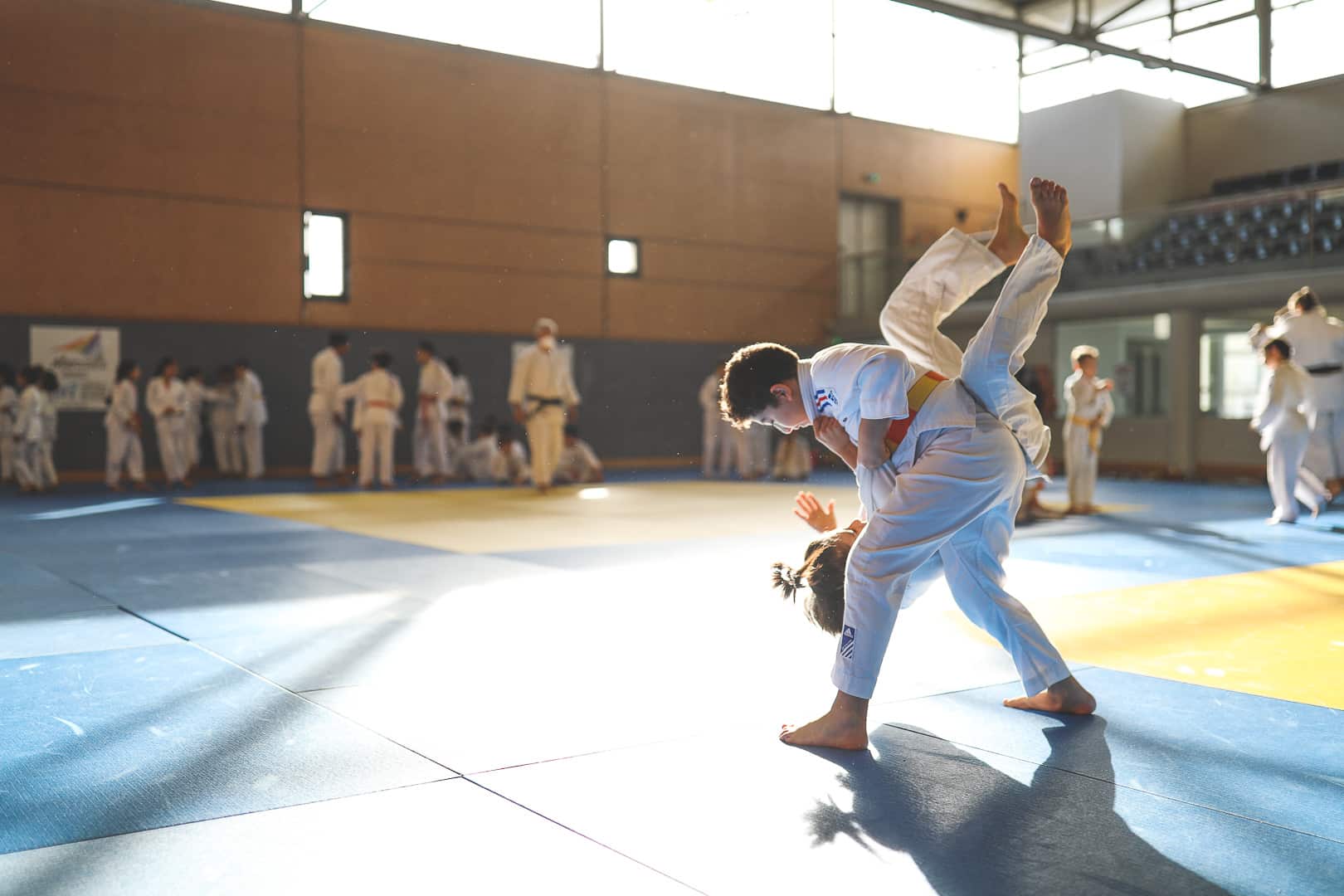 Cours Judo Jujitsu Marseille 13015 - Dojo de Bougainville